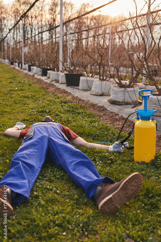 Poisoned farmer lying in a field after using poisonous chemicals with a ...