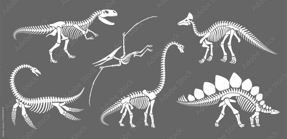 Dinosaur skeleton fossil, dino reptile animal silhouettes. Vector ...