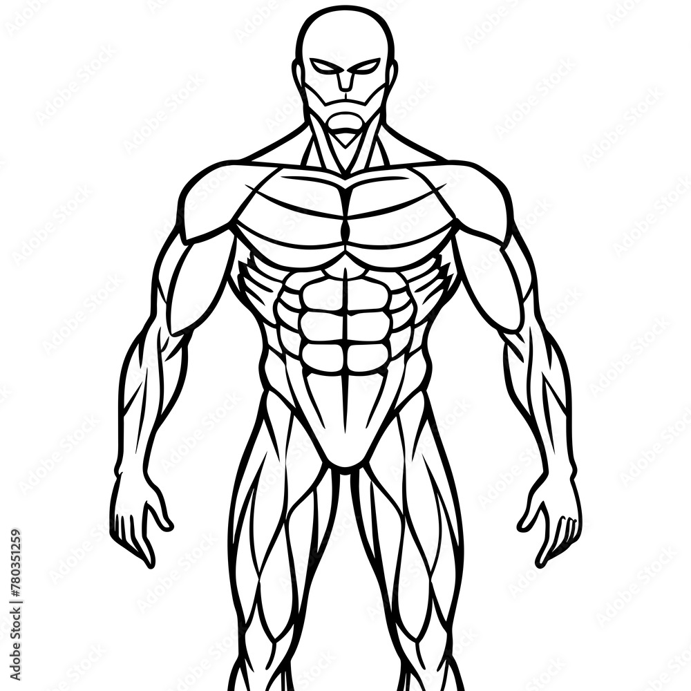 Vector de Stock Human Muscles Isolated on White Background High-Quality ...