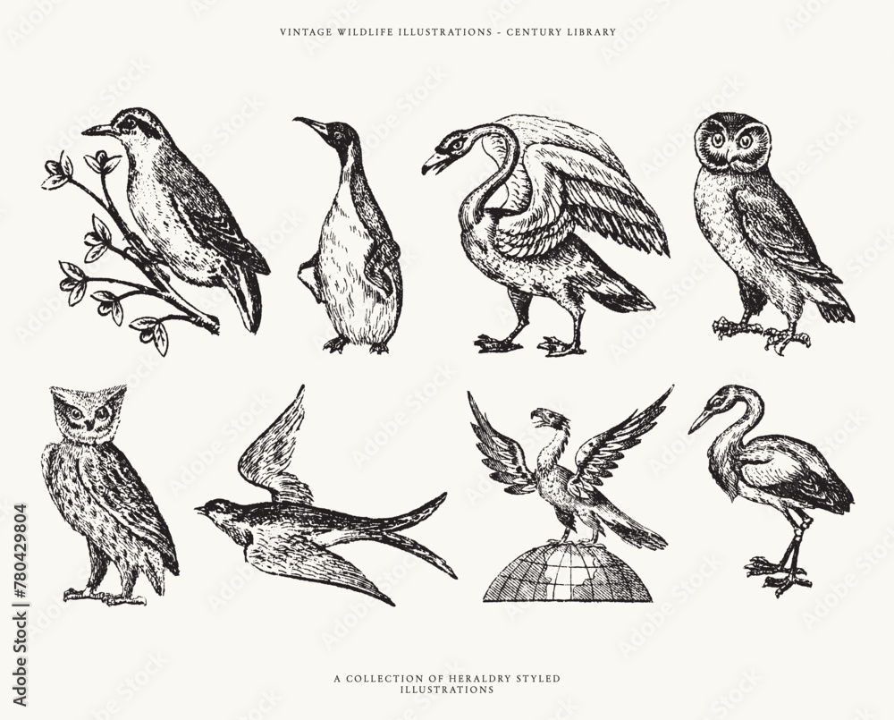 Set of Heraldry Inspired Bird Line Art Illustrations - Includes a ...