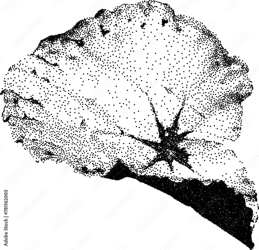 Grunge grain plant with a xerox or grainy photocopy effect. Dotted ...