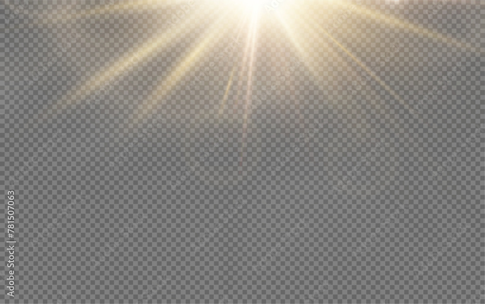 Set of realistic vector gold stars png. Set of vector suns png. Golden ...