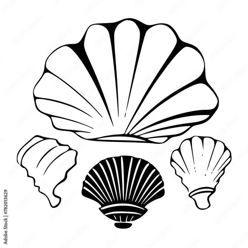 Vector de Stock Seashells svg, Seashell svg file, Ocean svg, Marine ...