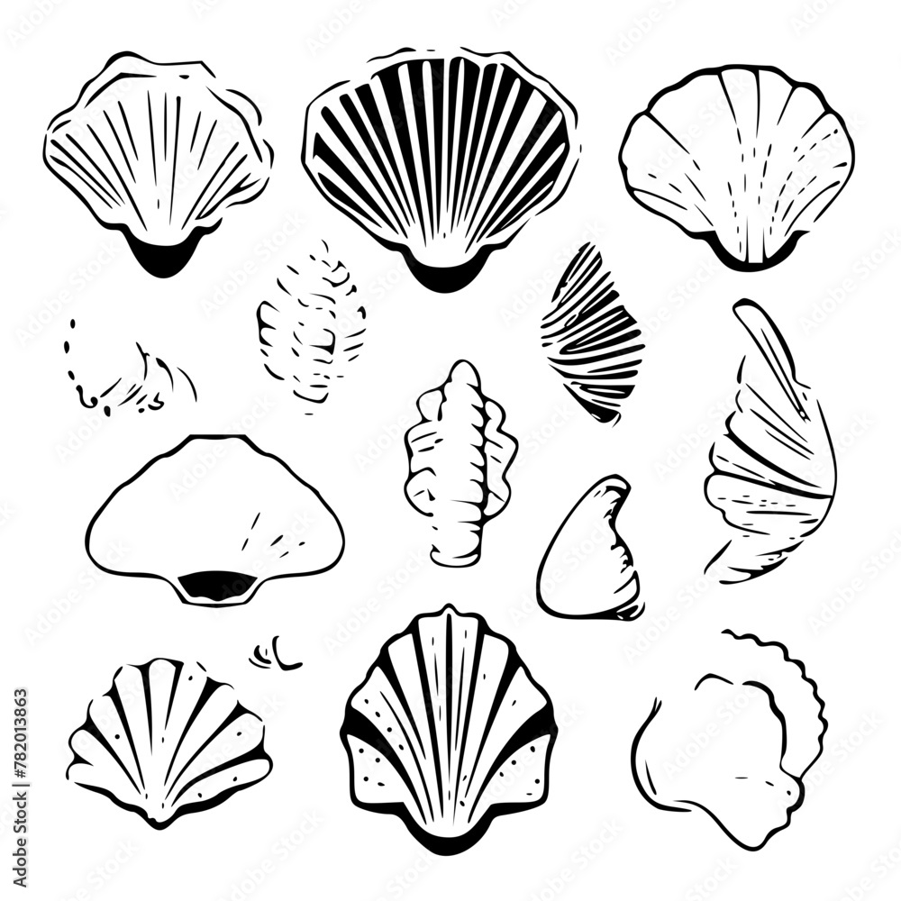 Image vectorielle Stock Seashells svg, Seashell svg file, Ocean svg ...