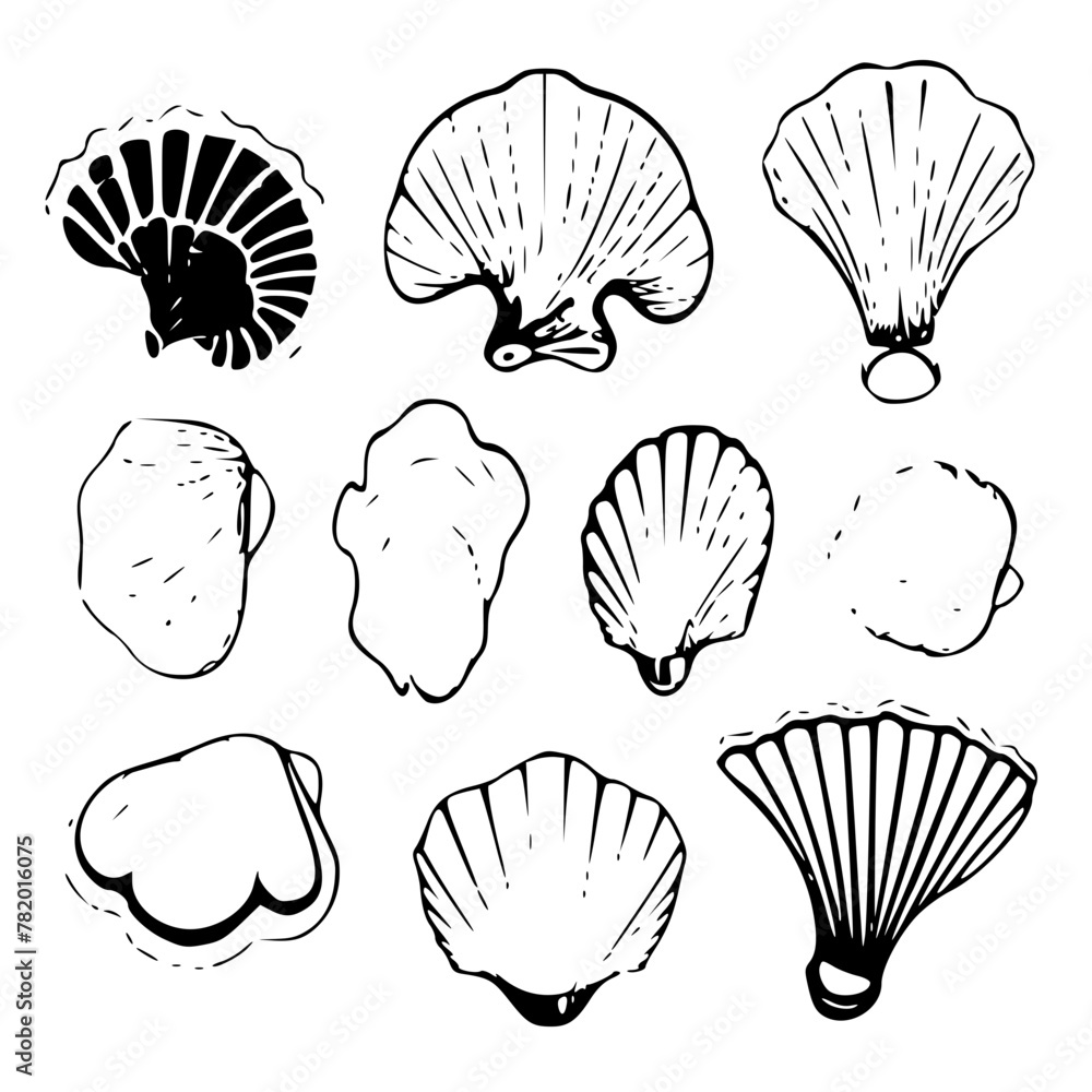 Image vectorielle Stock Seashells svg, Seashell svg file, Ocean svg ...