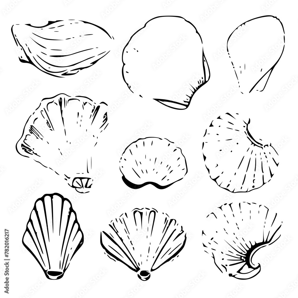 Seashells svg, Seashell svg file, Ocean svg, Marine, Clipart, Seashell ...