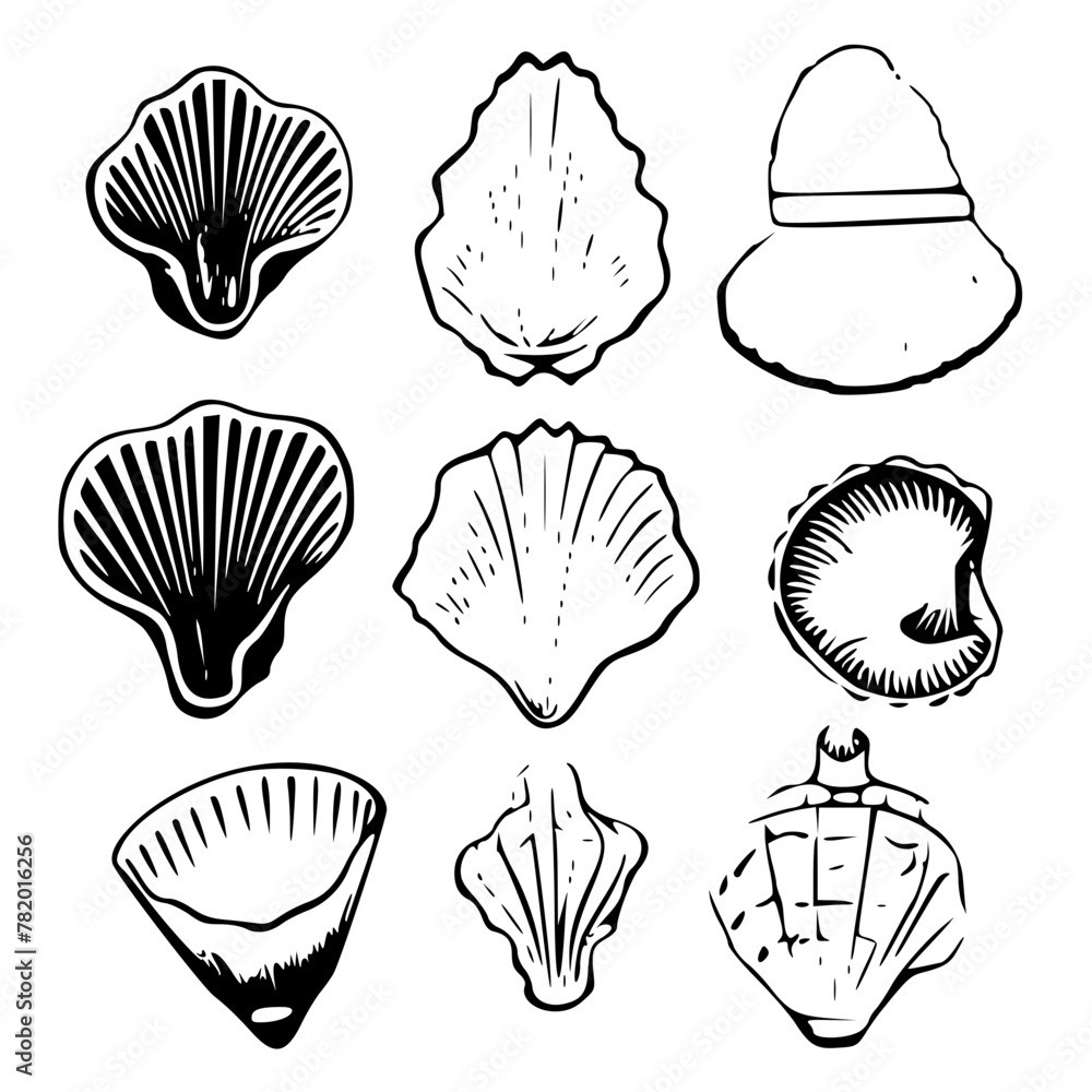 Image vectorielle Stock Seashells svg, Seashell svg file, Ocean svg ...