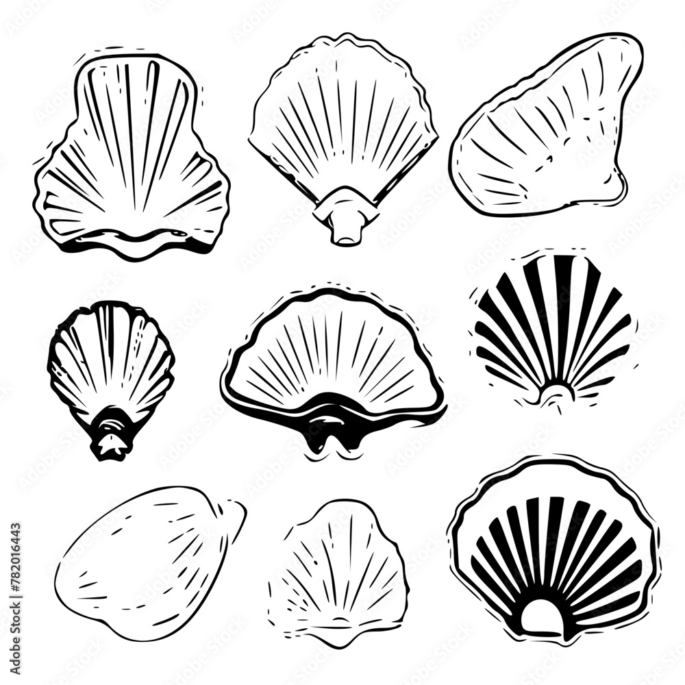 Seashells svg, Seashell svg file, Ocean svg, Marine, Clipart, Seashell ...