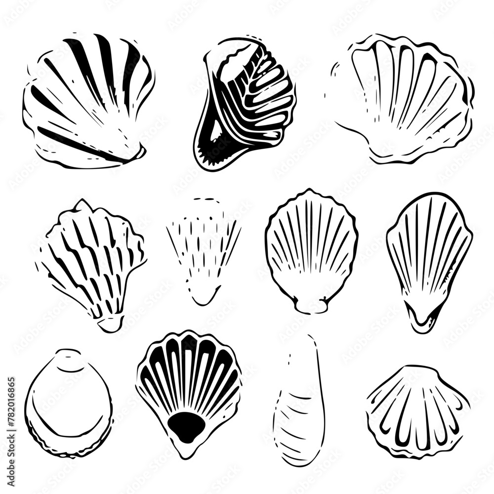 Seashells svg, Seashell svg file, Ocean svg, Marine, Clipart, Seashell ...