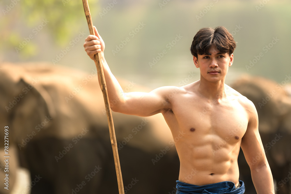 Handsome shirtless young Thai mahout holding spear weapon controlling ...