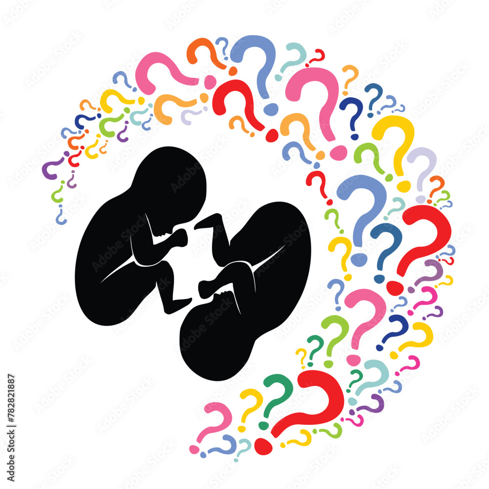 it's twins! Multiple pregnancy. Monozygotic twins (embryos). Design ...
