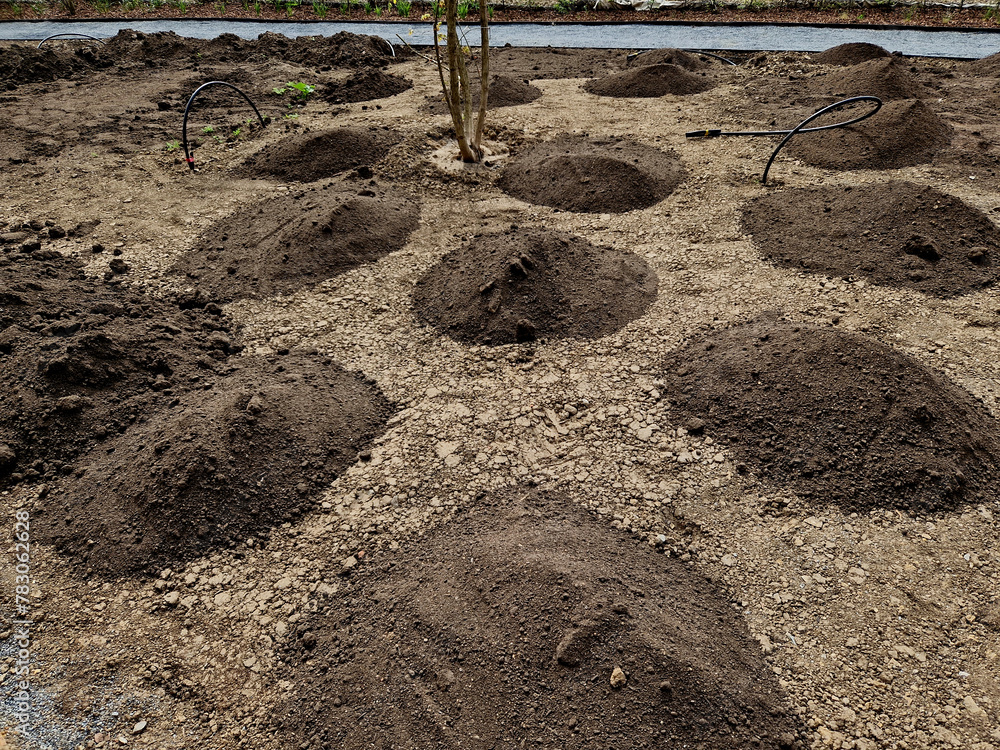 repair of damaged lawns after installation of automatic irrigation ...