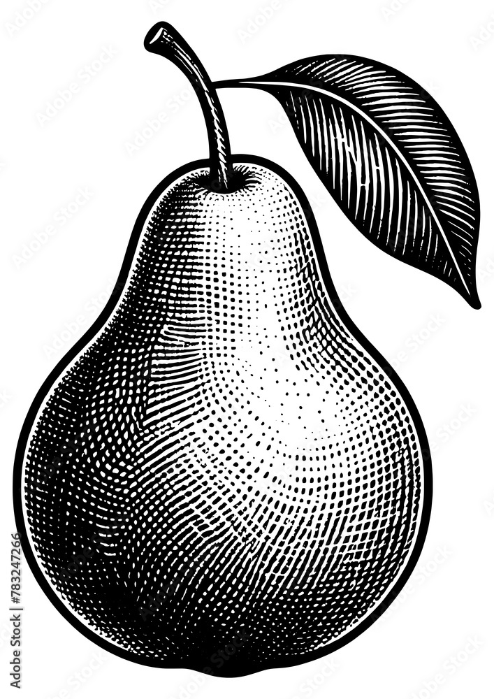 Pear with leaves fruit plant food sketch engraving generative ai PNG ...