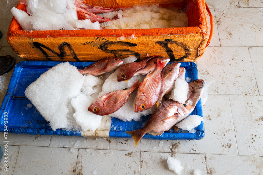 Zdjęcie bez tantiem: du poisson arrive sur le port de pêche ...