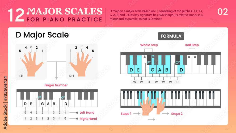 D Major Scale Visual Guide Essential Music Theory for Piano Stock ...