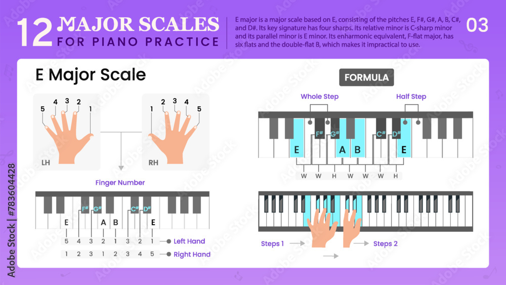 E Major Scale Visual Guide Essential Music Theory for Piano Stock ...