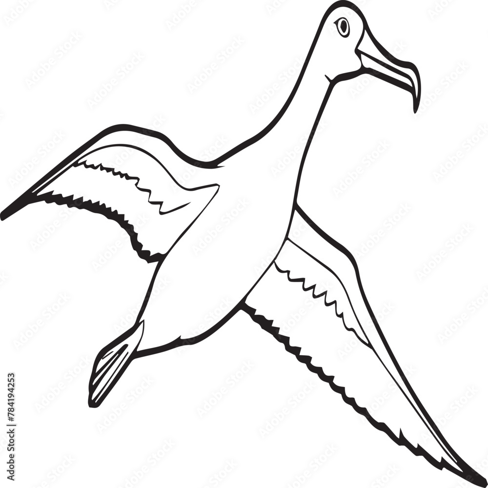 Albatross coloring pages. Albatross outline for coloring book Stock ...
