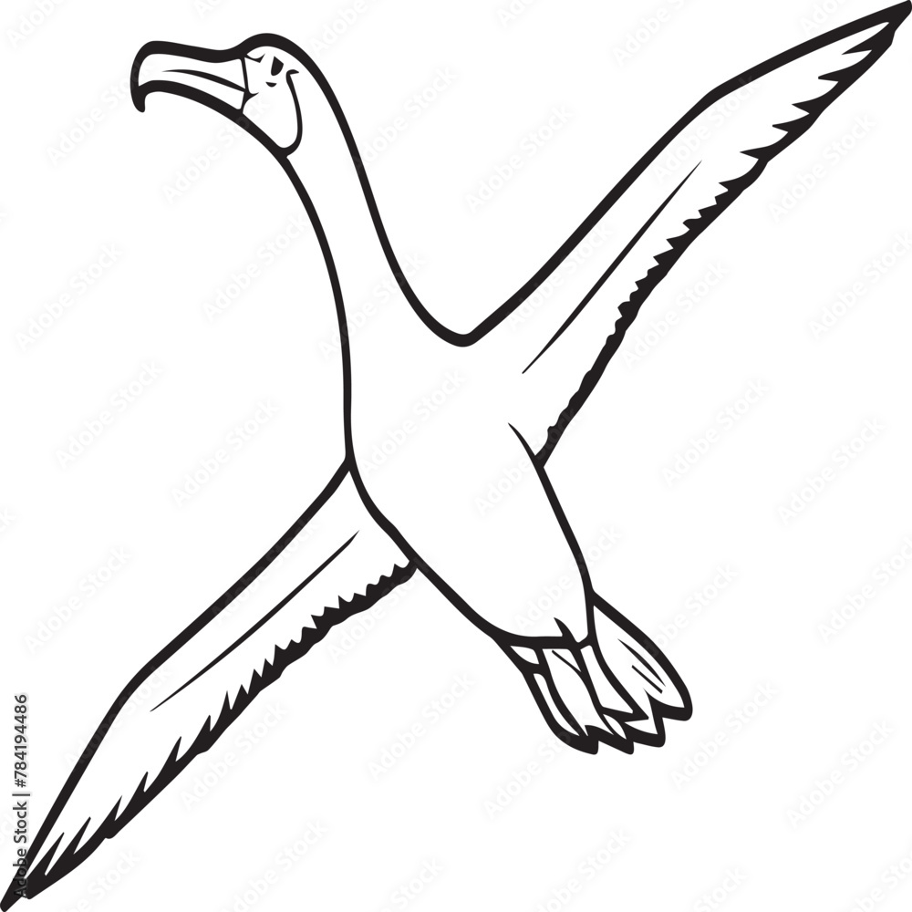 Albatross coloring pages. Albatross outline for coloring book Stock ...