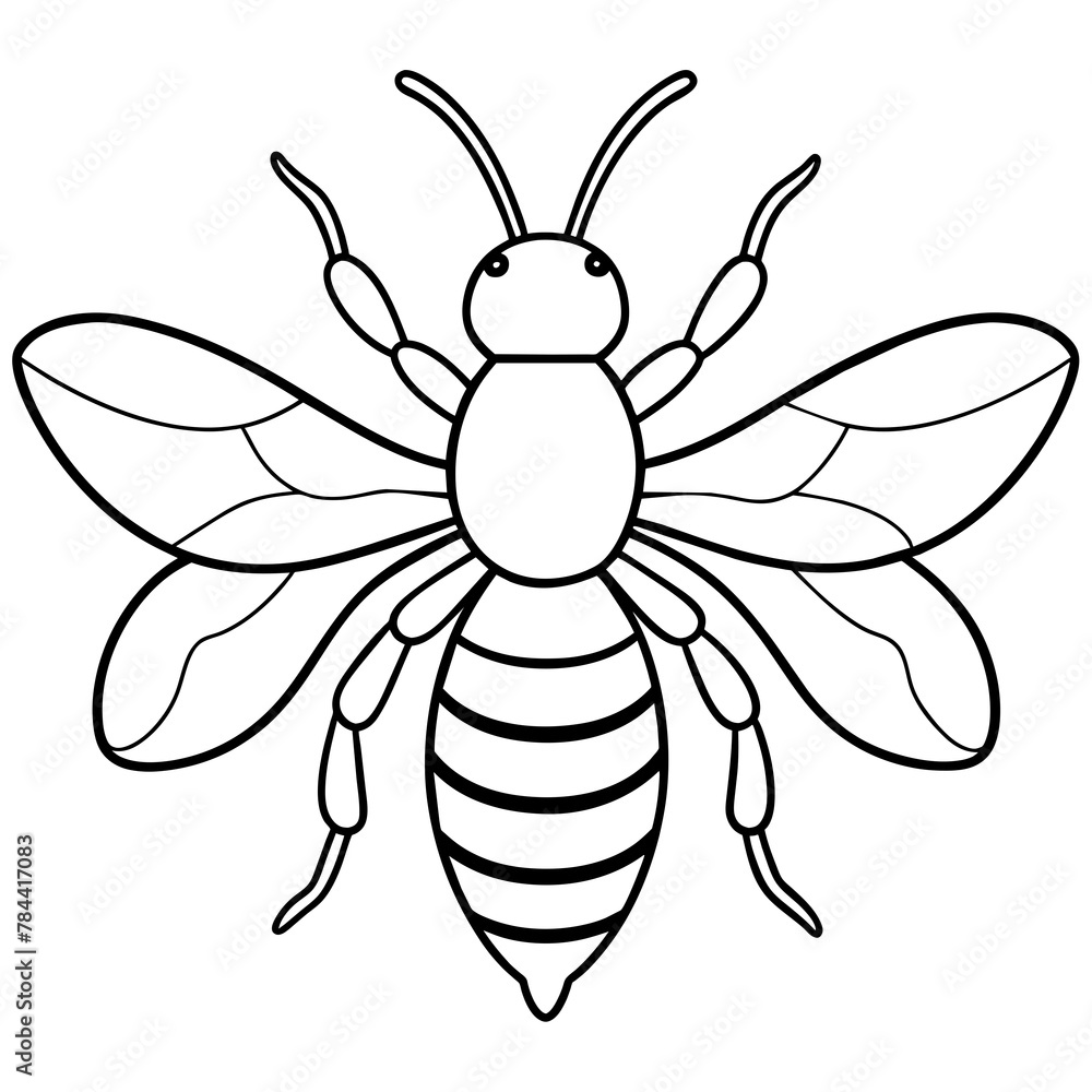 Stock-Vektorgrafik „bee vector coloring page. hand drawing coloring ...