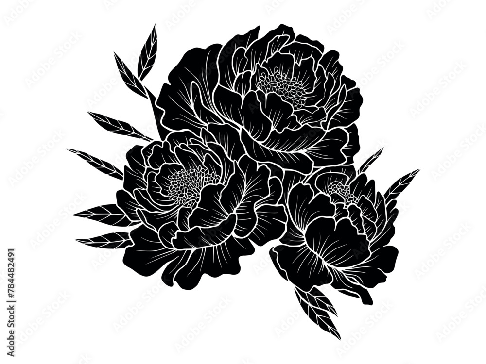 Bouquet of peonies. Peonies drawn using sketch technique. Three peonies ...