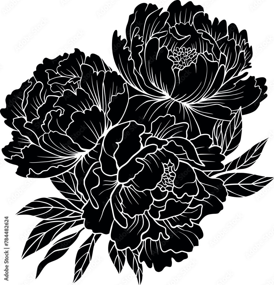 Bouquet of peonies. Peonies drawn using sketch technique. Three peonies ...