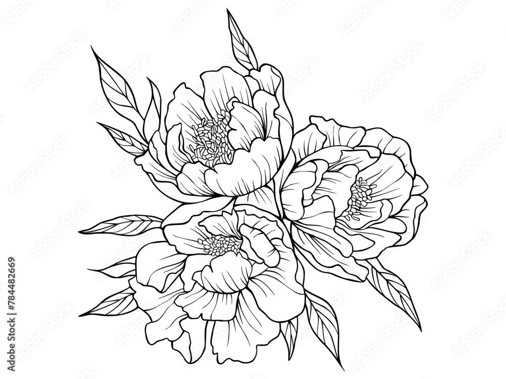 Bouquet of peonies. Peonies drawn using sketch technique. Three peonies ...