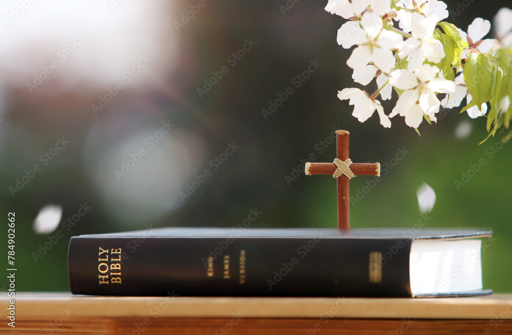 Holy Bible and cross of Jesus Christ, cherry blossoms blowing in spring ...