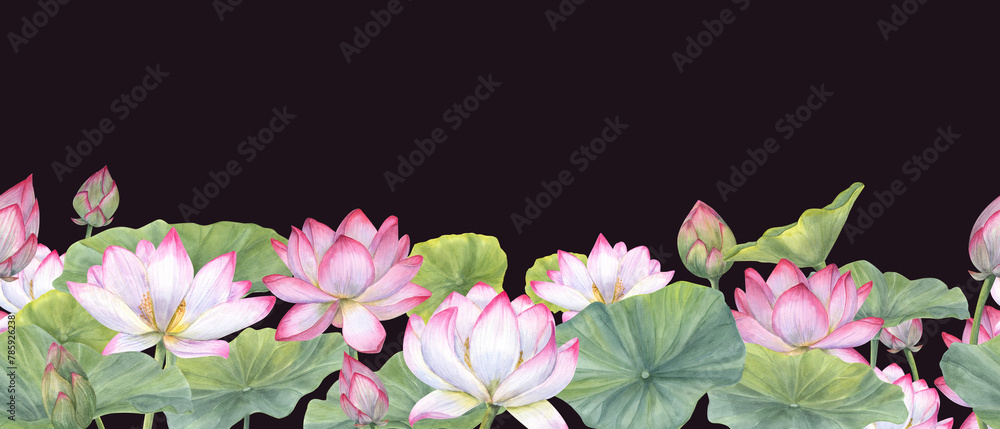 Seamless banner of Indian sacred lotus flowers with leaves. Water lily ...