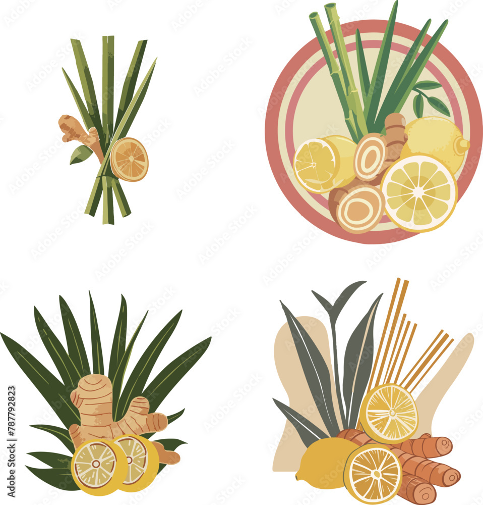 Four vibrant illustrations depicting fresh lemons and ginger roots ...