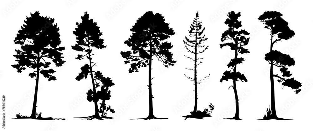 Pine tree silhouette, Minimal style, Side view, set of graphics trees ...