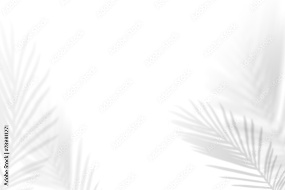 PNG Leaf shadow effect, transparent background Stock Photo | Adobe Stock