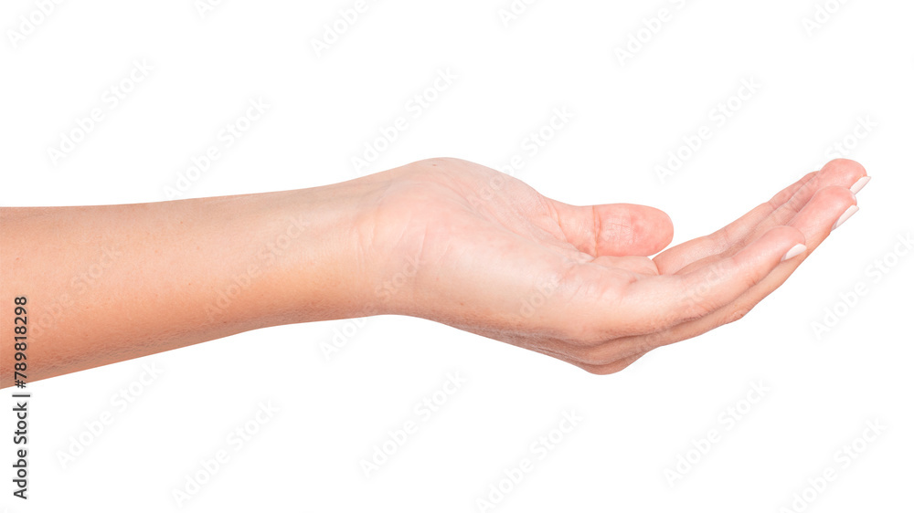 Cupped hand gesture png mockup Stock Photo | Adobe Stock