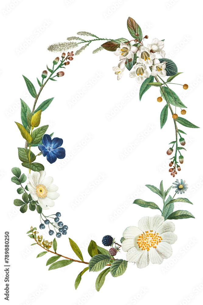 Vintage botanical frame png sticker Stock Illustration | Adobe Stock