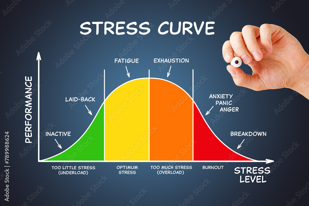 Stress Curve Graph Diagram With Different Stages Stock Photo | Adobe Stock