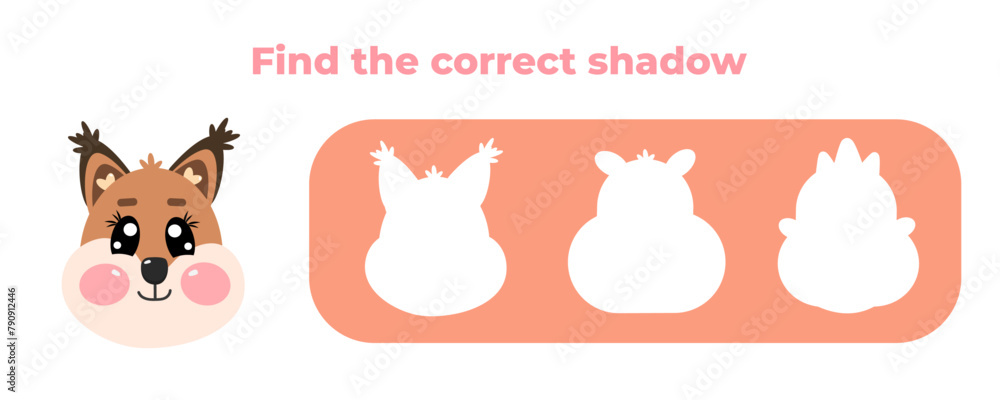 Find the correct shadow of kawaii characters squirrel face animal ...