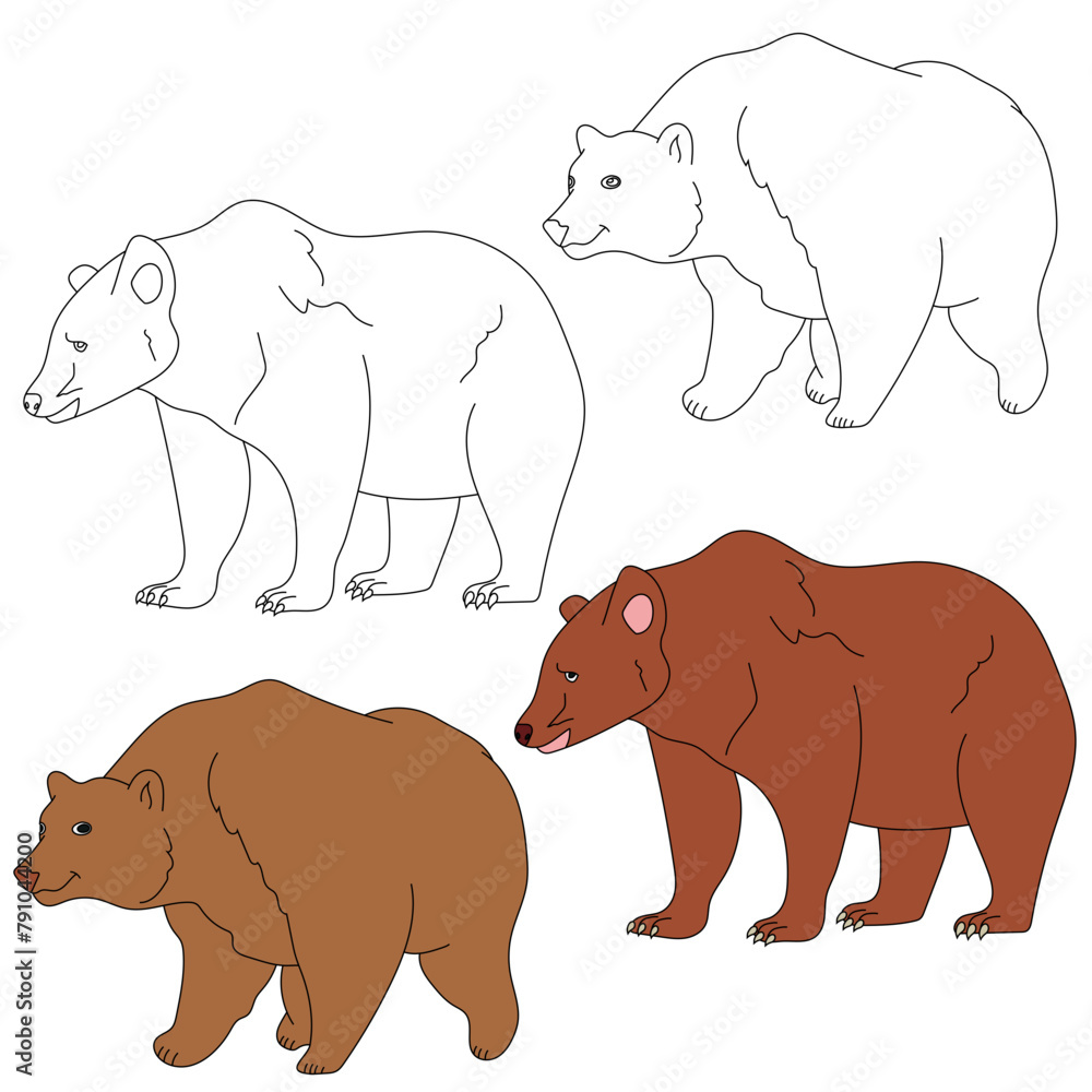 Bear Clipart. Wild Animals clipart collection for lovers of jungles and ...