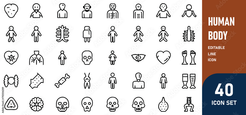 Human Body Line Editable Icons set. Vector illustration in modern thin ...