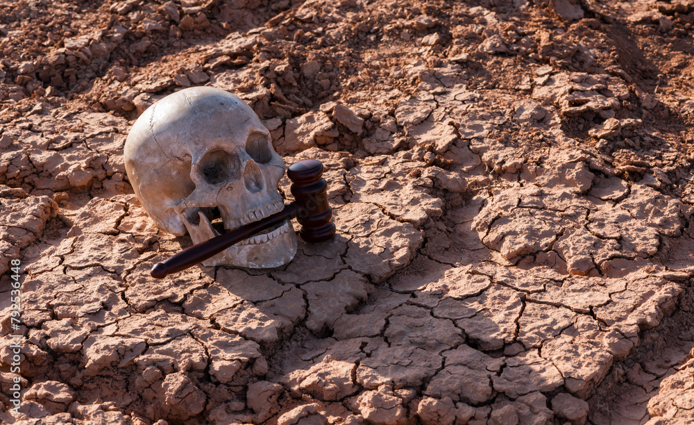 Human skull and judge's gavel on heat-cracked clay in the desert Stock ...