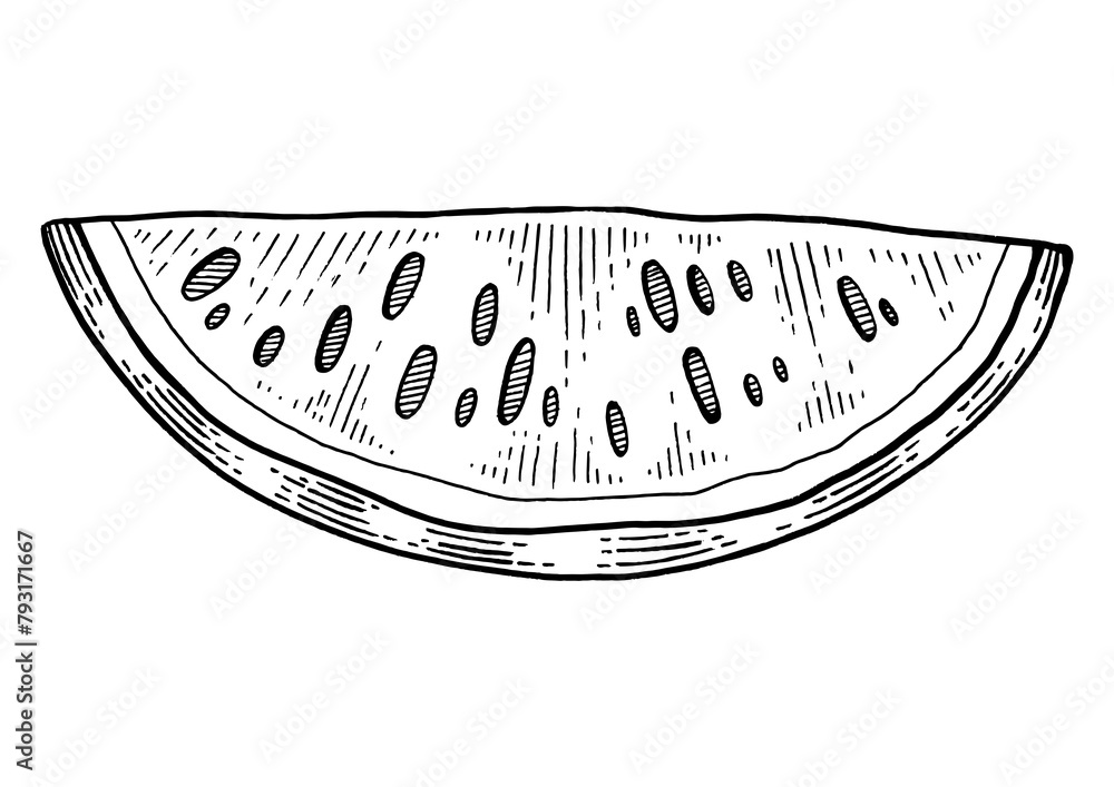 Watermelon fruit plant slice sketch engraving PNG illustration. Scratch ...