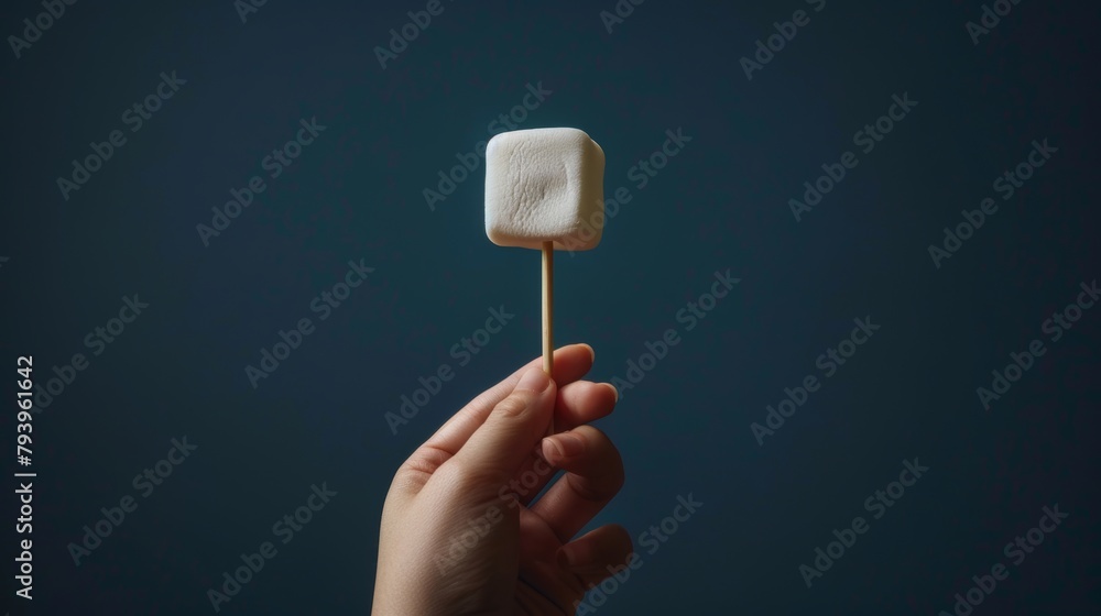 High contrast image of a hand with a marshmallow on a stick, spotlight ...