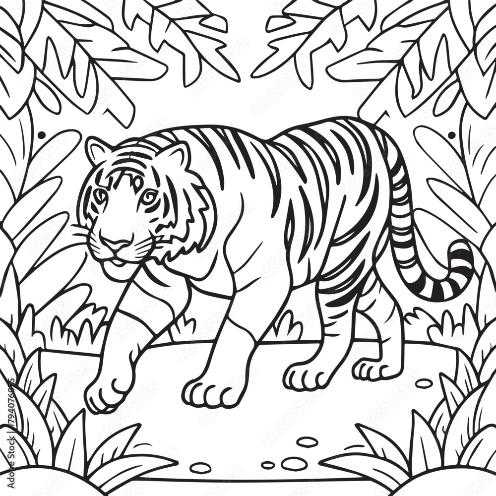 Tiger coloring pages. Tiger line art for coloring pages. Tiger outline ...