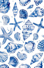 Starfish Shells Pattern Background Free Stock Photo - Public Domain ...