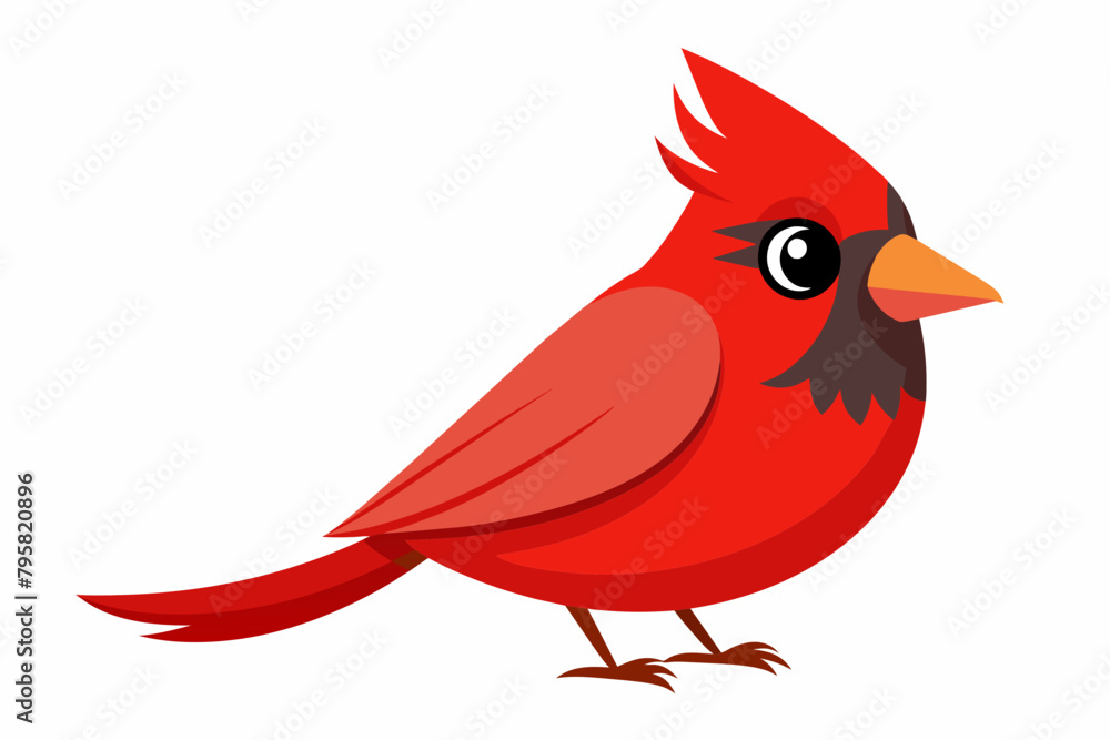 cardinal bird cartoon vector illustration Stock Vector | Adobe Stock