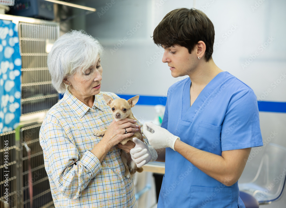 Young professional veterinarian talking with interested aged female ...