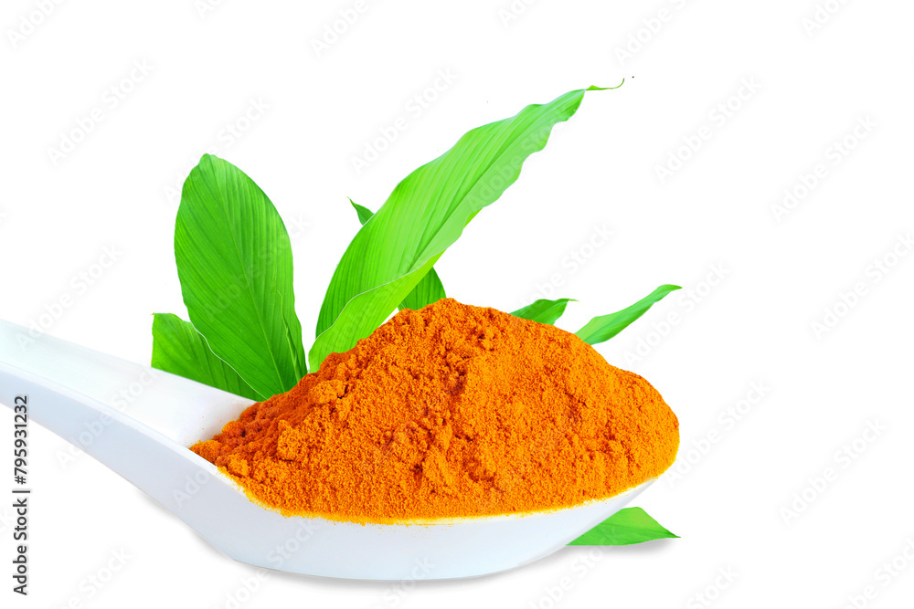 turmeric or curcumin longa root powder in spoon with leaves known in ...