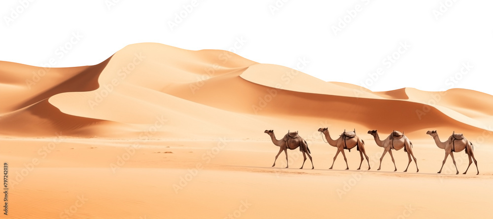 Nature Sand dunes PNG hot Sahara Desert isolated on white and ...