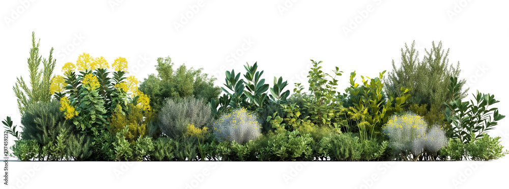 different types of shrubs and bushes transparent background PNG Stock ...