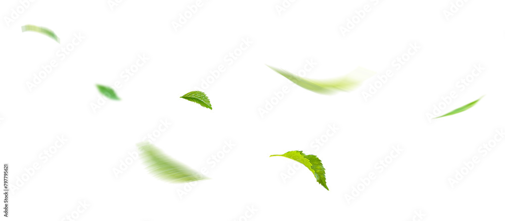 Foto Green Floating Leaves Flying Leaves Green Leaf Dancing, Air ...