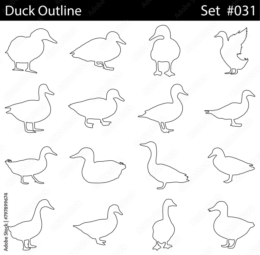 Minimal style Duck line drawing, Side view, set of graphics Ducks ...