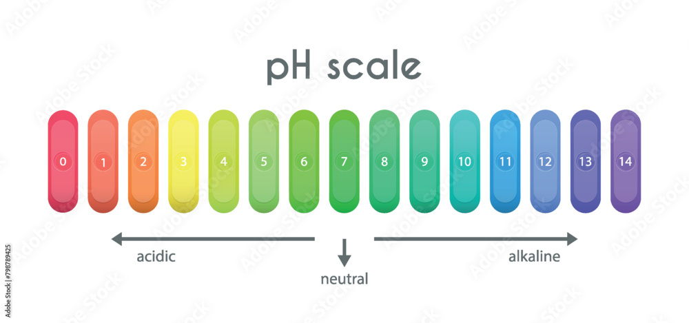 pH value scale chart for acid-alkaline solution. Acid-base balance ...